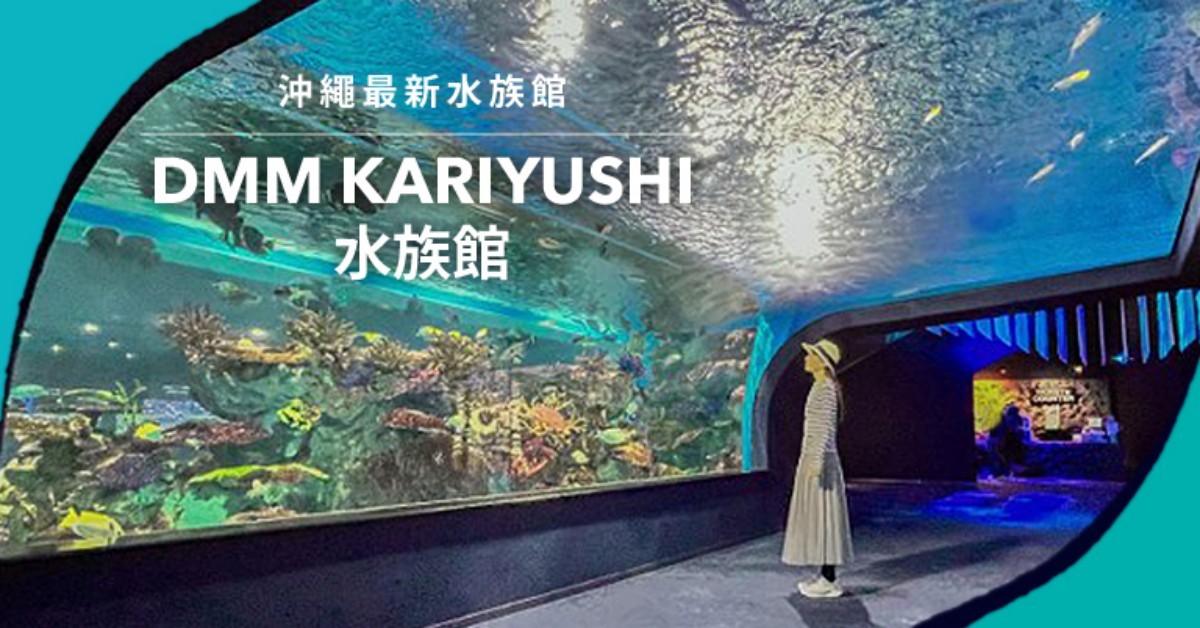 สัมผัสเหล่าสัตว์น้ำอย่างใกล้ชิดกันที่พิพิธภัณฑ์สัตว์น้ำ "DMM Kariyushi" ในโอกินาว่ากัน! | JapaiJapan