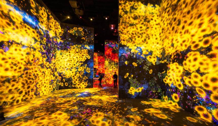 【2/9开幕】EPSON teamLab Borderless 麻布台之丘：两大新作品必看 | 乐吃购！日本